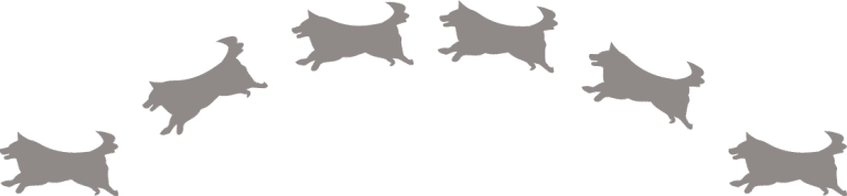 Collie | ITAGE(アイテージ) ソリューションサイト